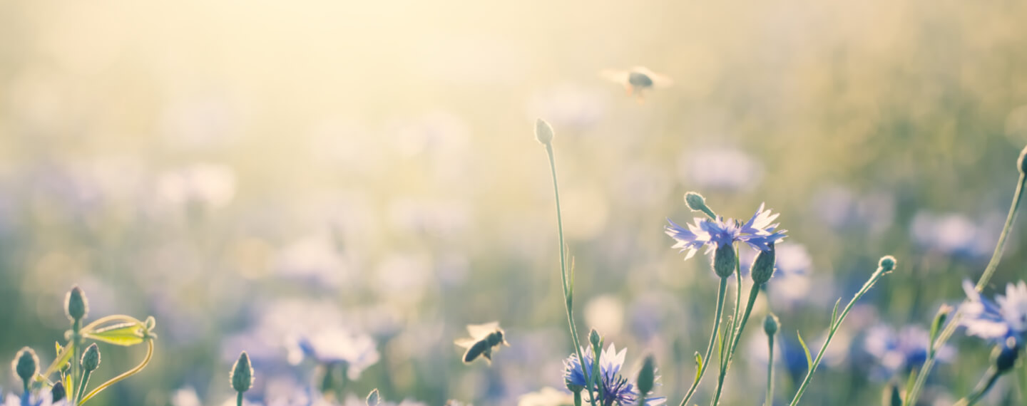 Über uns - Praxis für Klassische Homöopathie Bertoli, Küblis